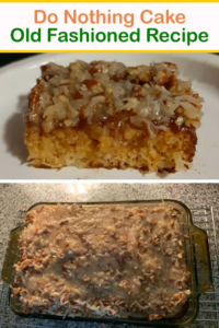 Do Nothing Cake (from scratch)